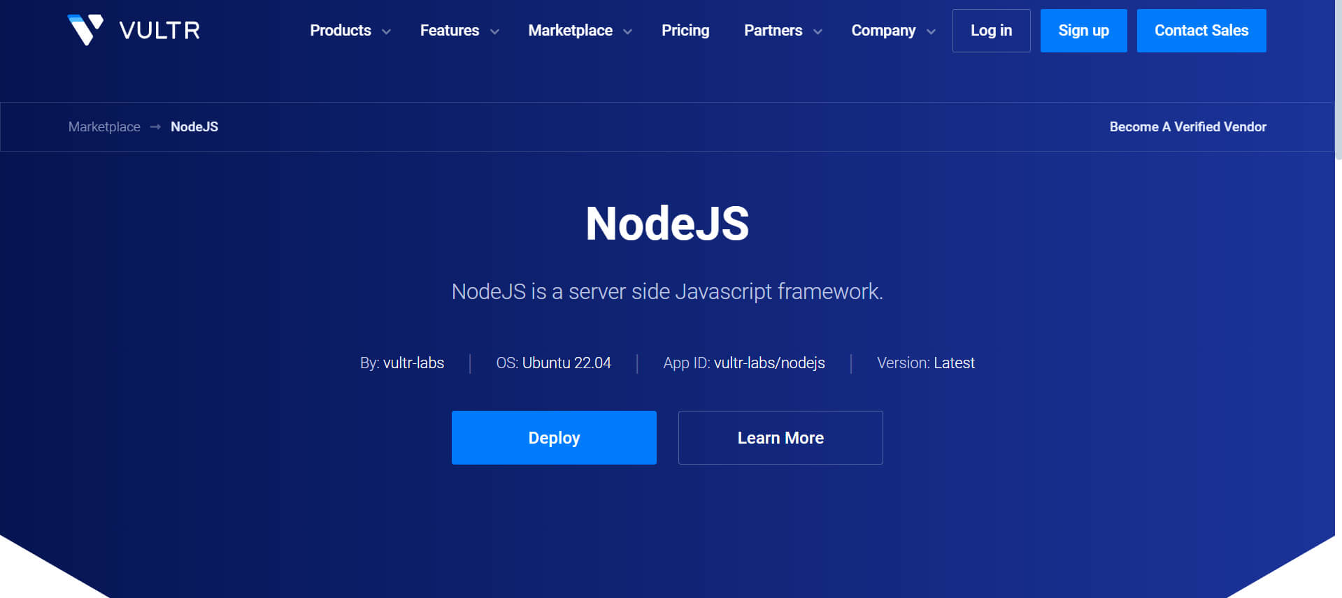5 Best Node.js Hosting Providers in 2025 - ( Top Picked )